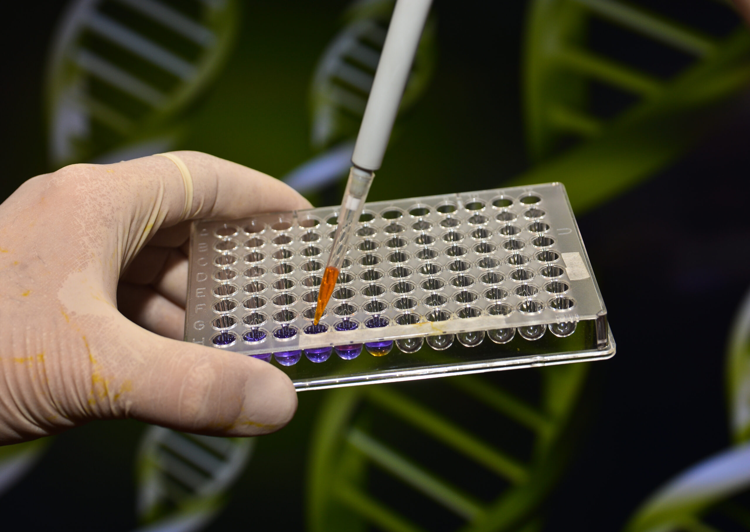 Assessment of the Precision and Sensitivity of QIAcuity® Nanoplate ...